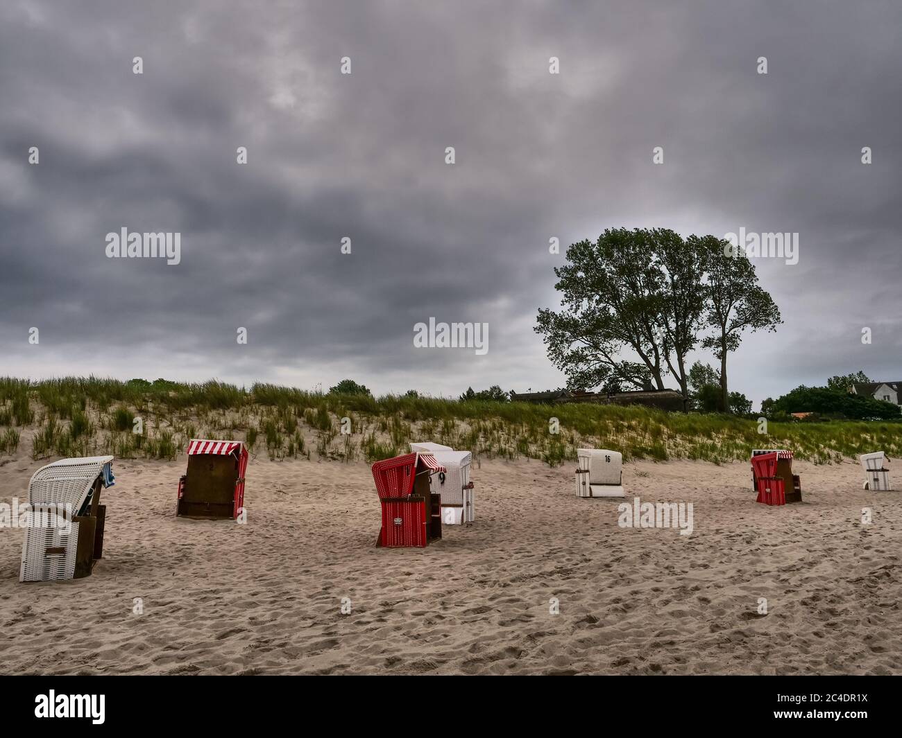 the beach of Ahrenshoop in germany Stock Photo - Alamy