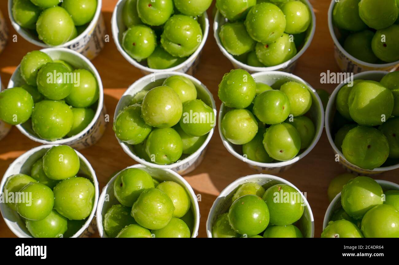 Top view of green plums or greengage in paper cup on sale in the street ...
