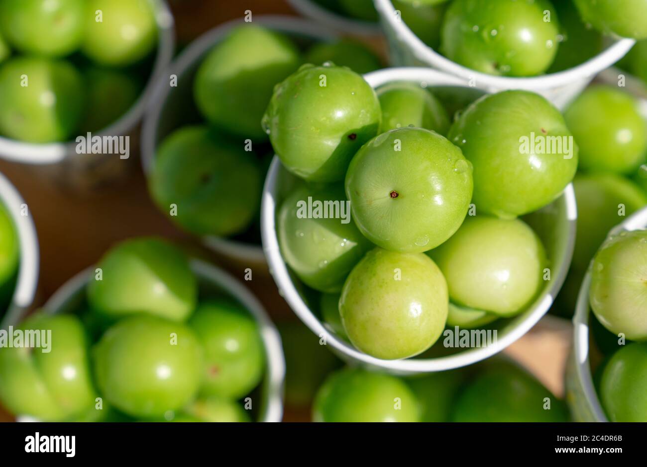 Taste of iran hi-res stock photography and images - Alamy