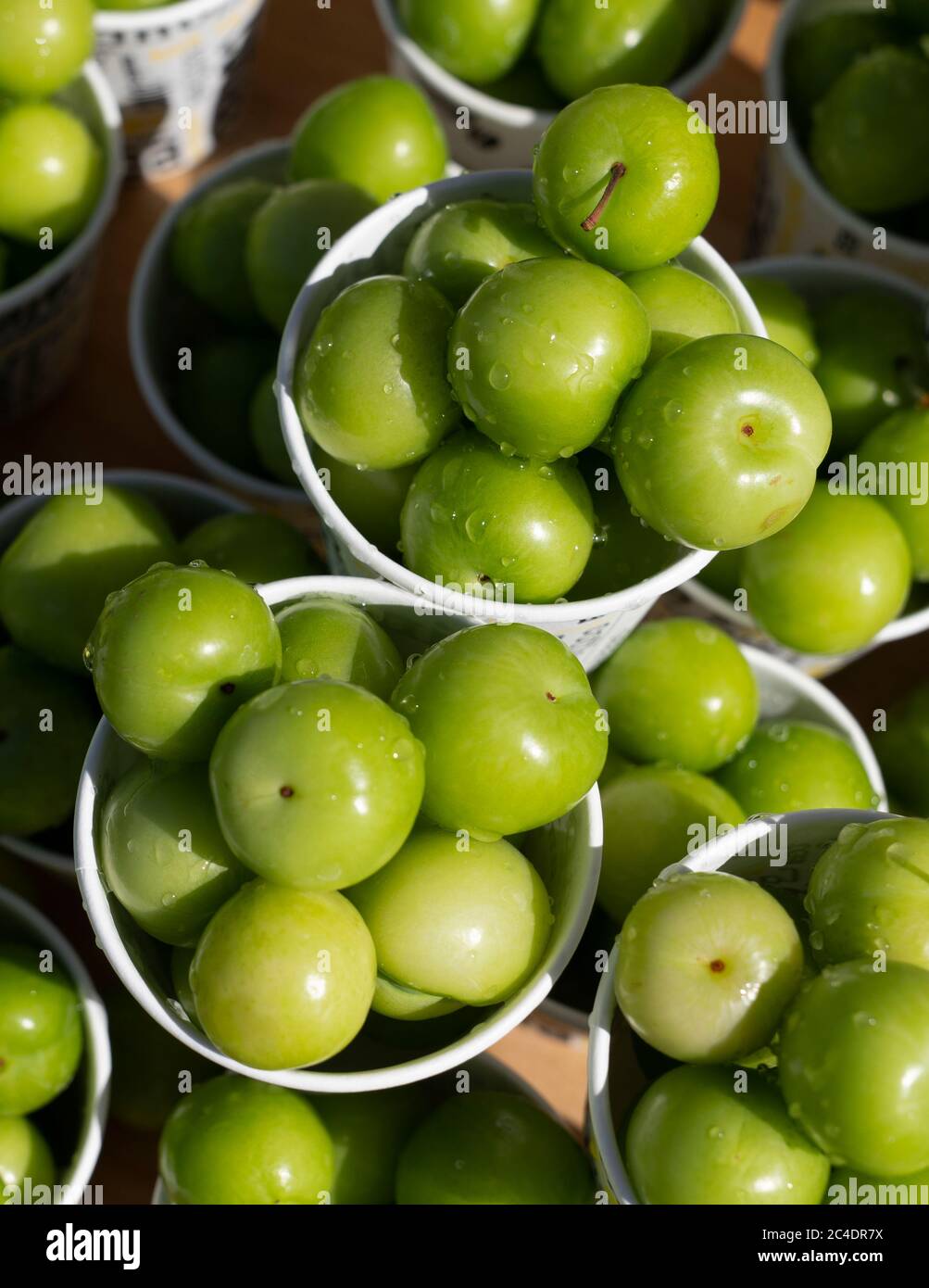 Erik Fruit Hi-res Stock Photography And Images Alamy, 54% OFF Erik Fruit Hi-res Stock Photography And Images Alamy, 54% OFF