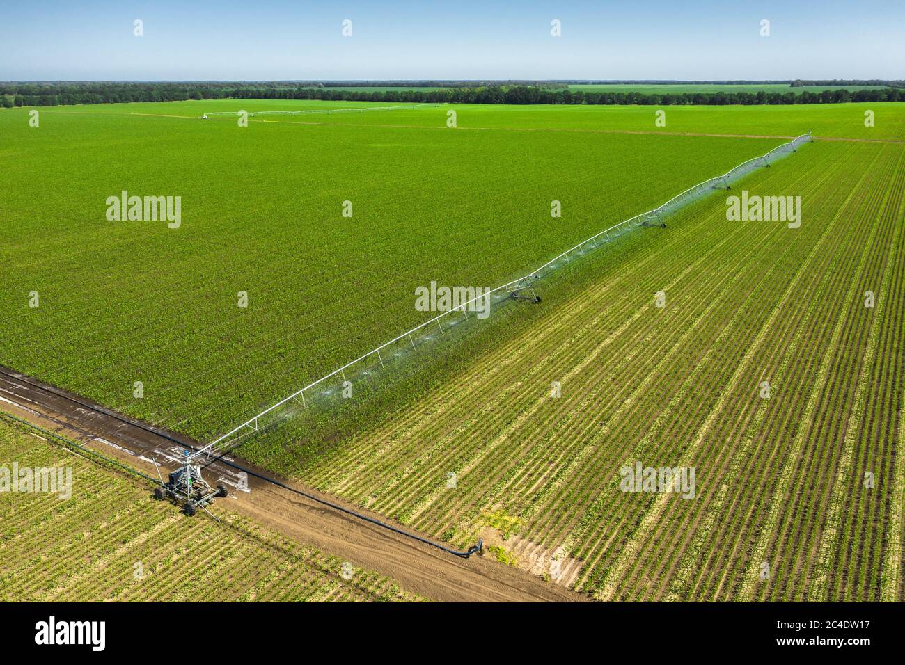 Irrigation farming field. Irrigation System for farming aerial view ...