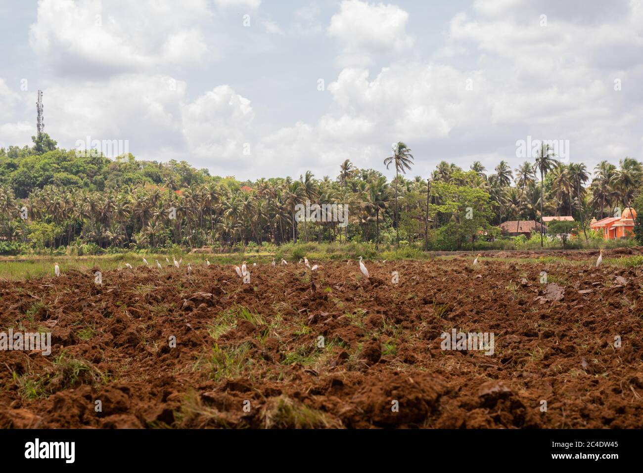 Visit goa hi-res stock photography and images - Alamy