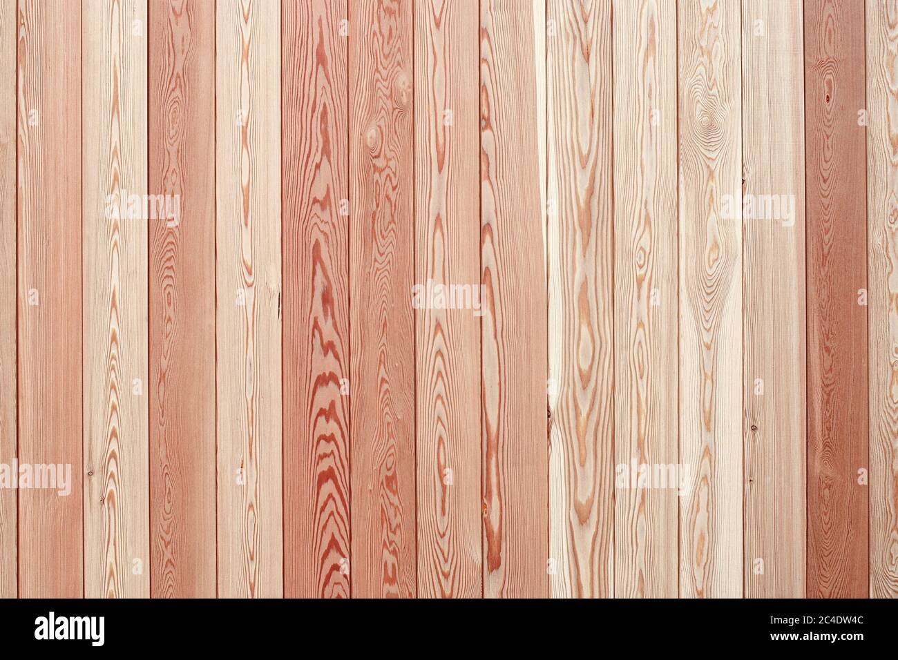 pine wooden boards wall background, textured wood of natural colors ...