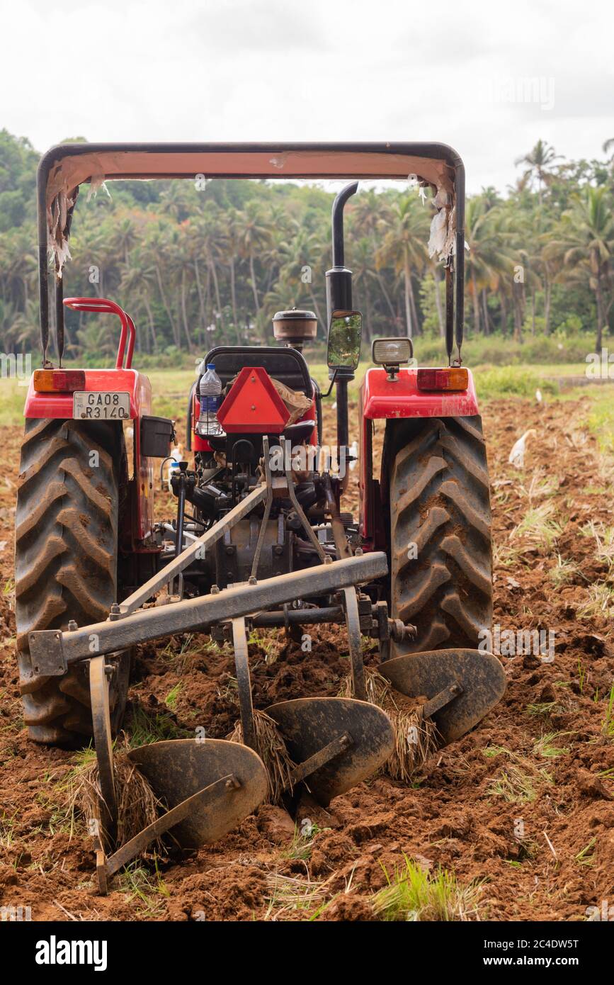 Goan landscape hi-res stock photography and images - Alamy