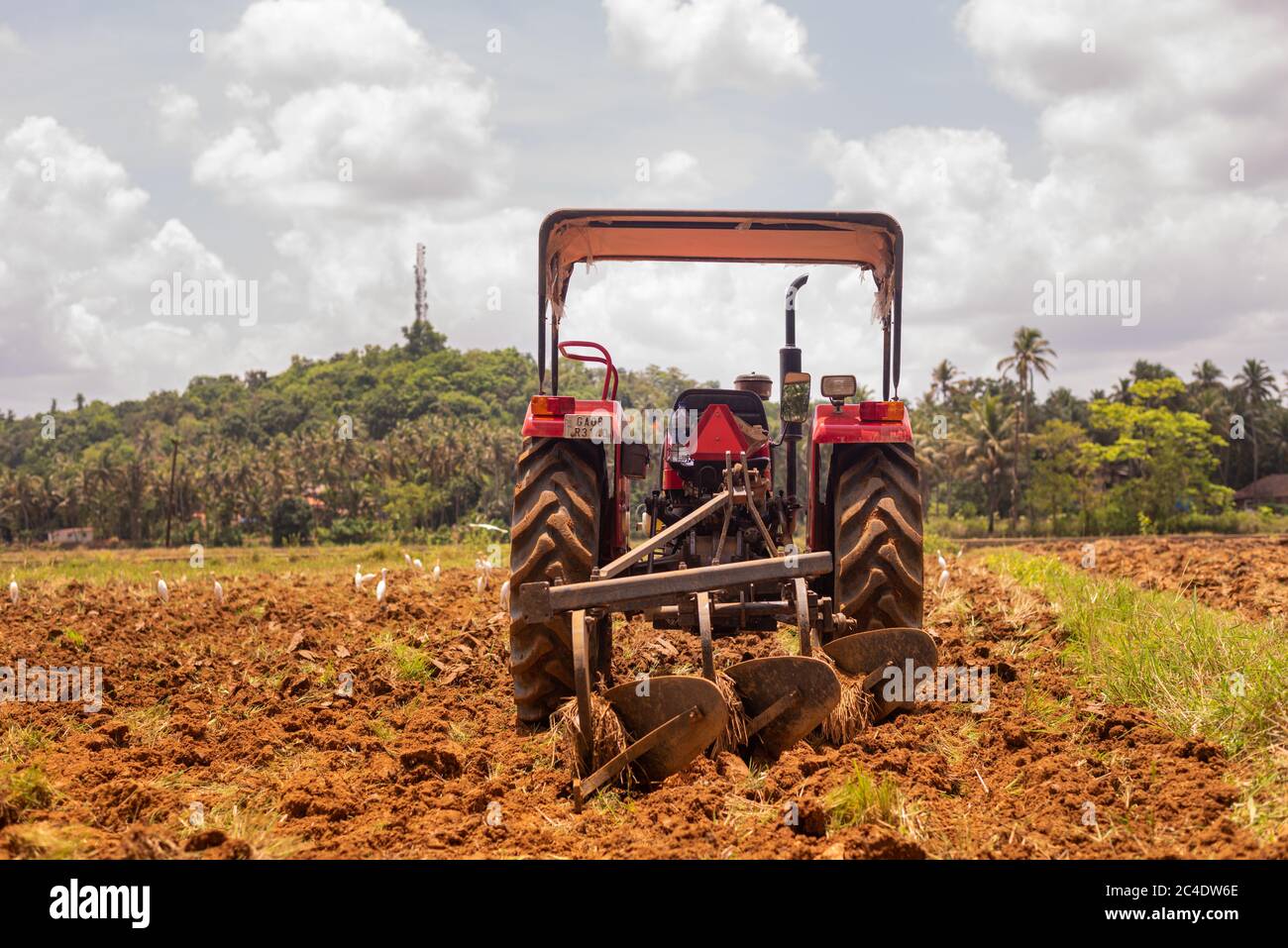 Goan landscape hi-res stock photography and images - Alamy