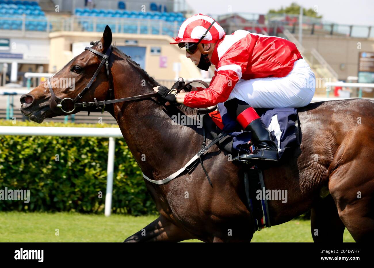 La Trinidad ridden by Ben Curtis wins The Free Tips Daily On attheraces ...