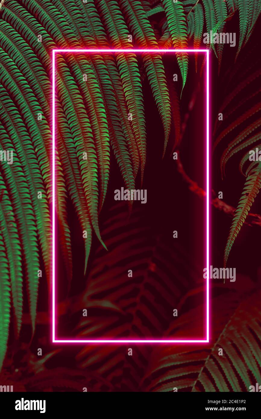 Fern leaves with colorful neon light, free space for text Stock Photo ...