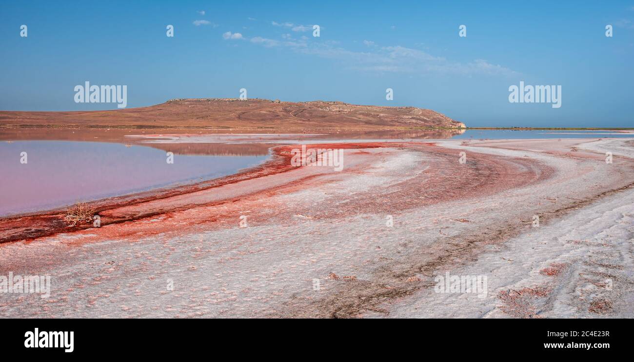 Brine and salt of a pink lake Koyash colored by microalgae Dunaliella ...