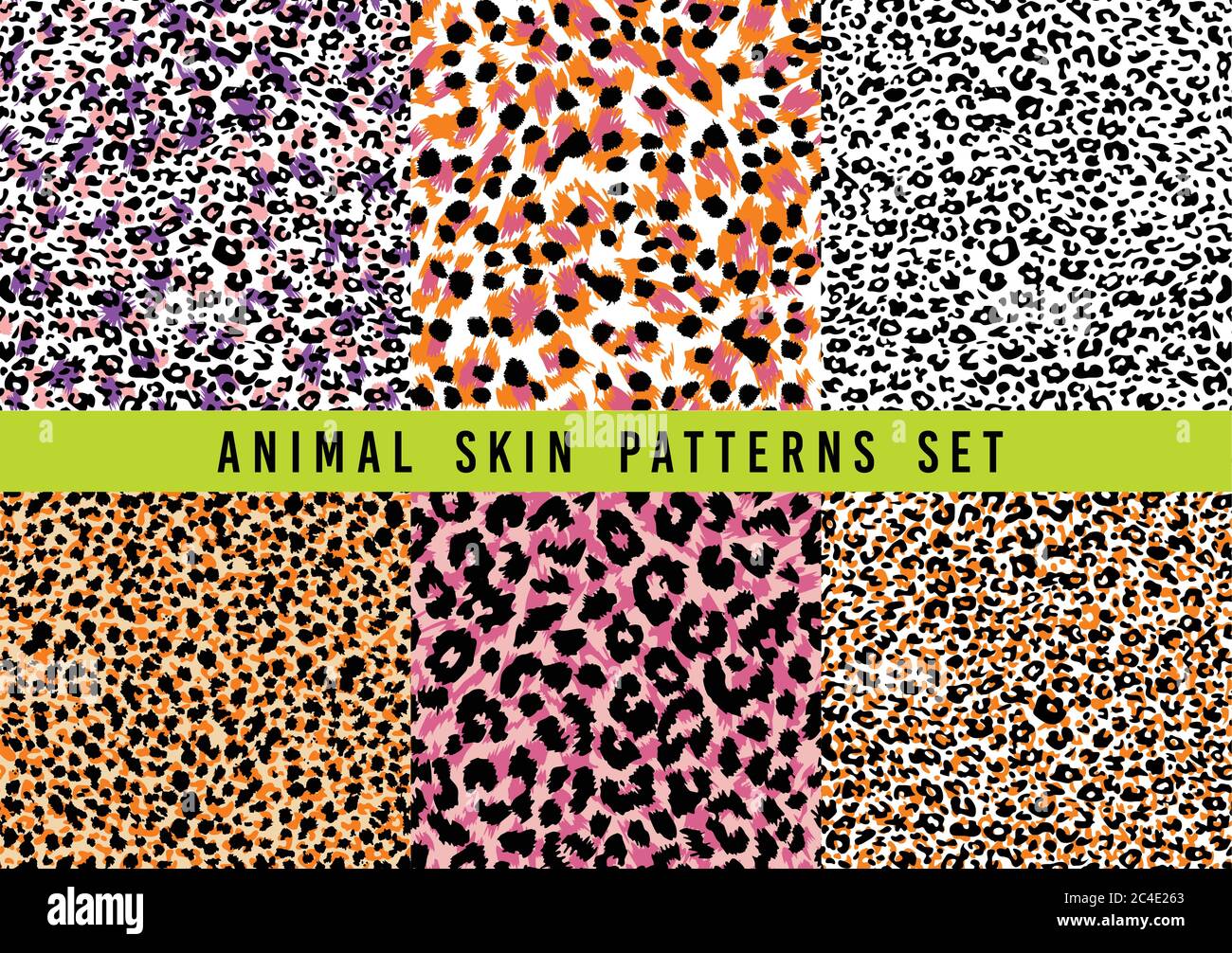 set of animal print vector patterns Stock Vector Image & Art - Alamy