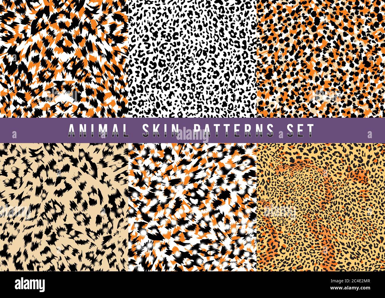 set of animal print vector patterns Stock Vector Image & Art - Alamy