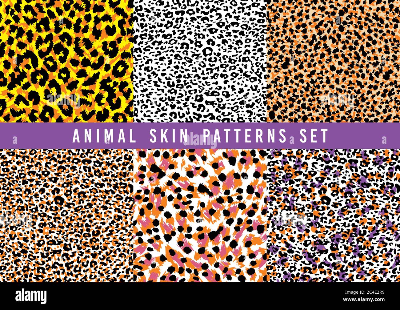 set of animal print vector patterns Stock Vector Image & Art - Alamy