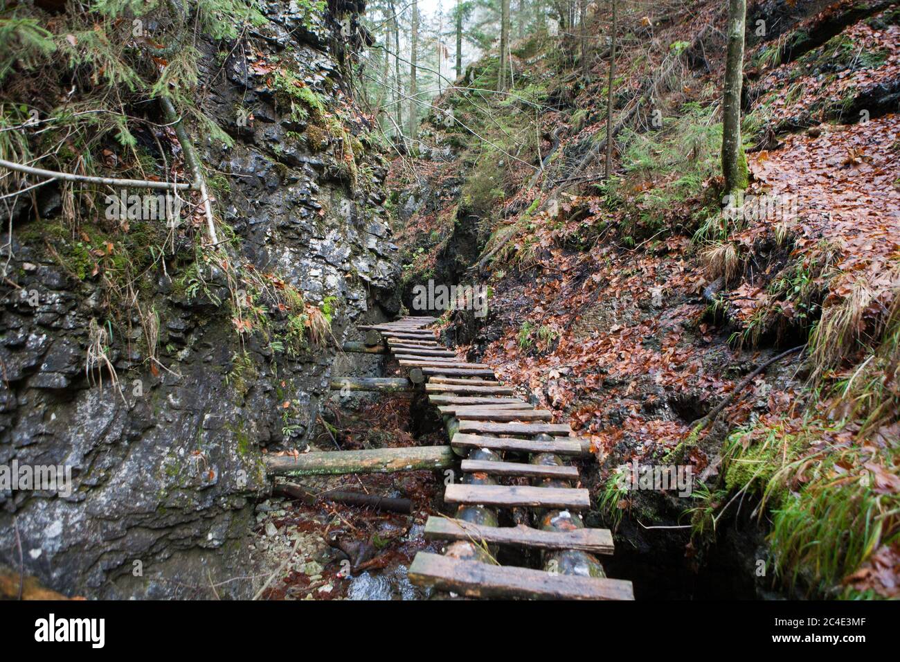 Wooden ladders hi-res stock photography and images - Alamy