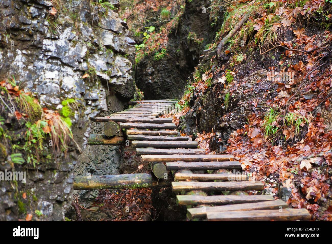 Tourist path made from wooden ladders between cliffs in Slovak Paradise ...