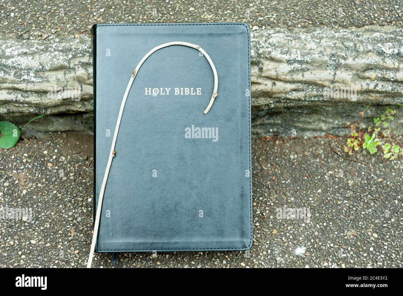 Closed Holy Bible with small wooden staff on top. Background with stair ...