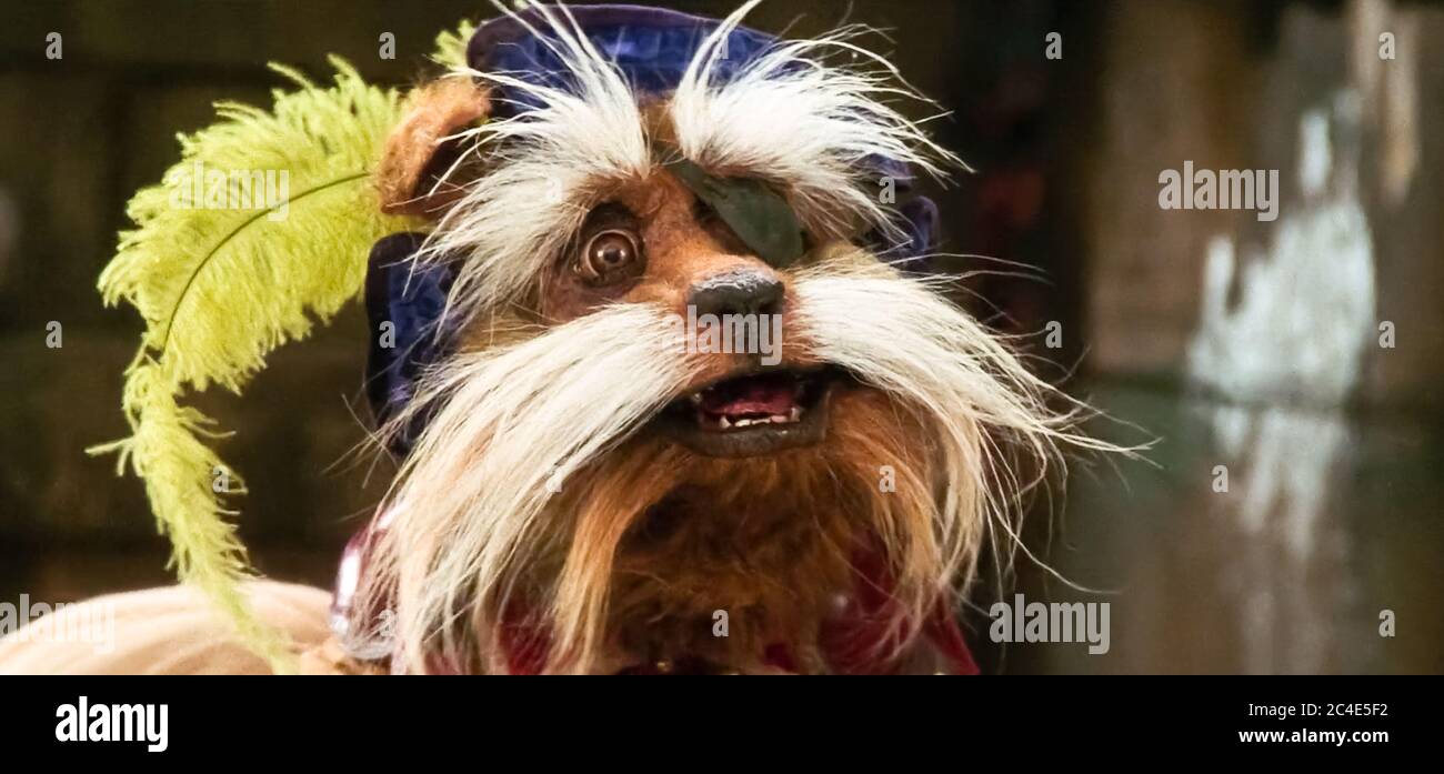 Into The Labyrinth Film High Resolution Stock Photography and Images ...