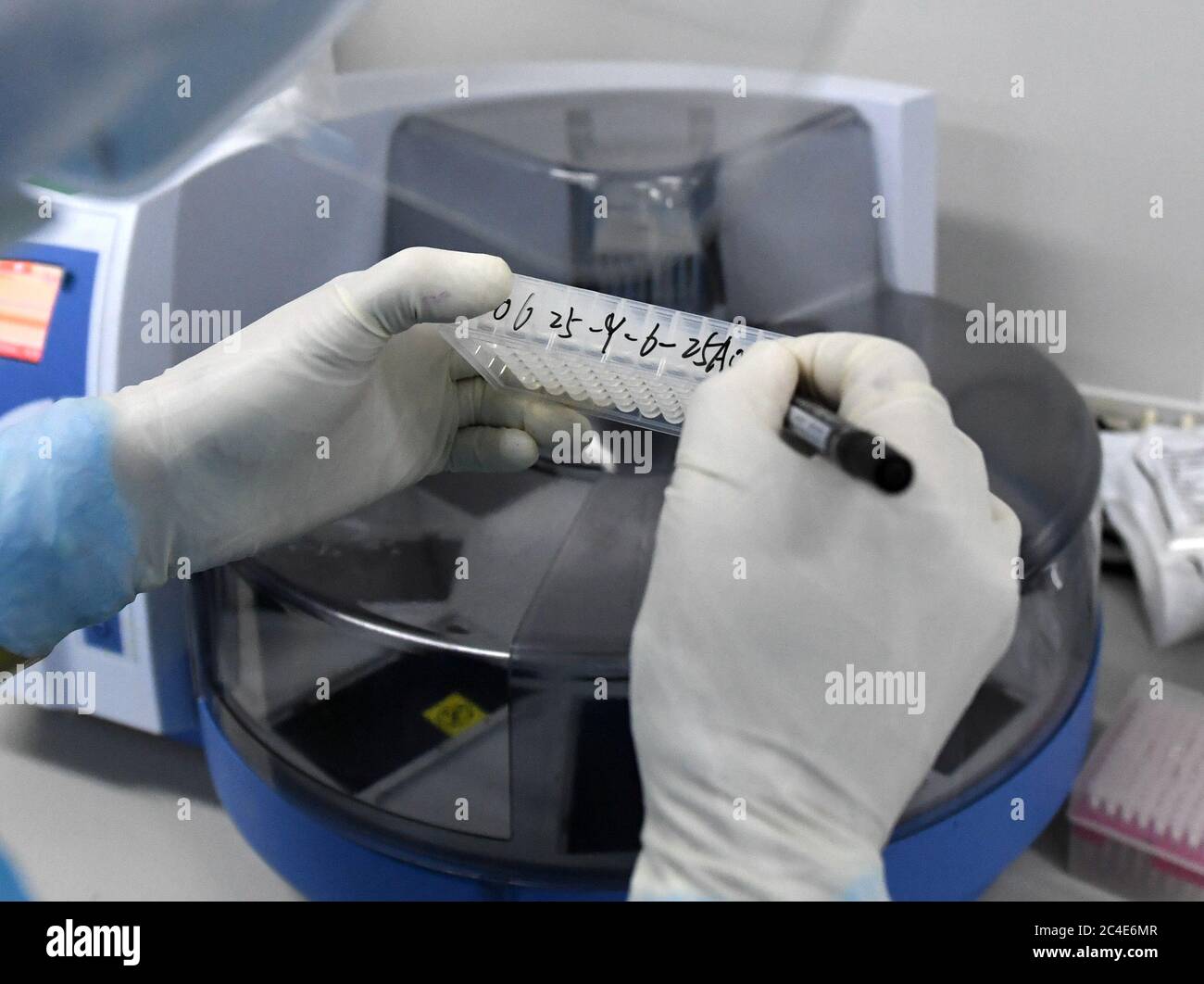 Beijing, China. 25th June, 2020. A staff member marks the samples for ...