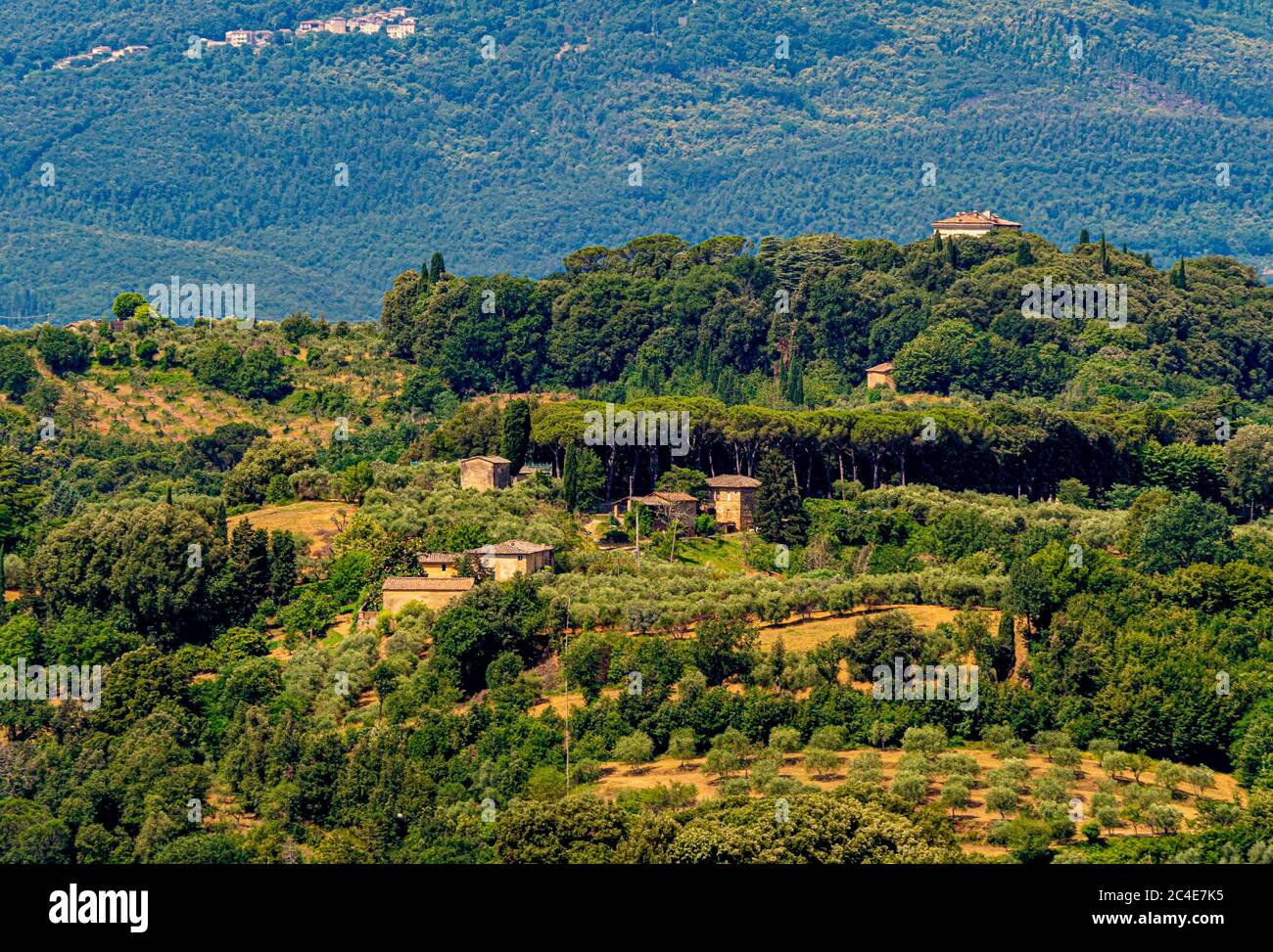 Villas in the Siena countryside. Tuscany, Italy Stock Photo - Alamy