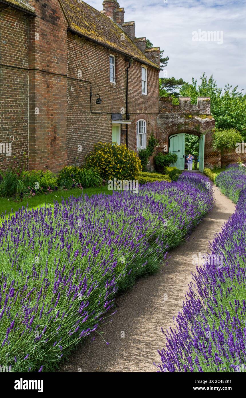 The Lavender Walk at the historic Almshouses in the village of Ewelme ...