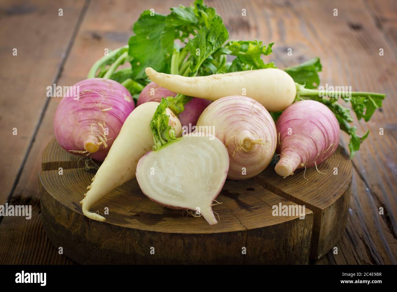 Turnip cross section hi-res stock photography and images - Alamy