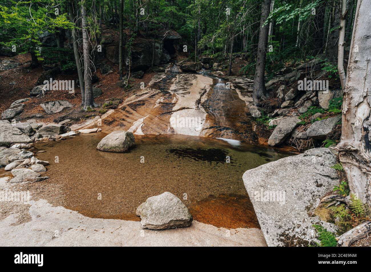 Waterfall in the forest Stock Photo - Alamy
