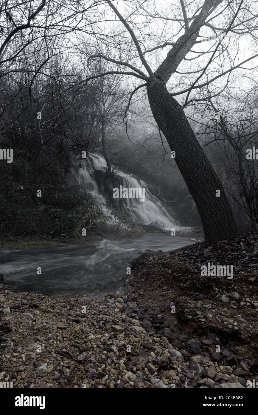 Vertical shot of a mystical waterfall in a forest area - perfect for ...