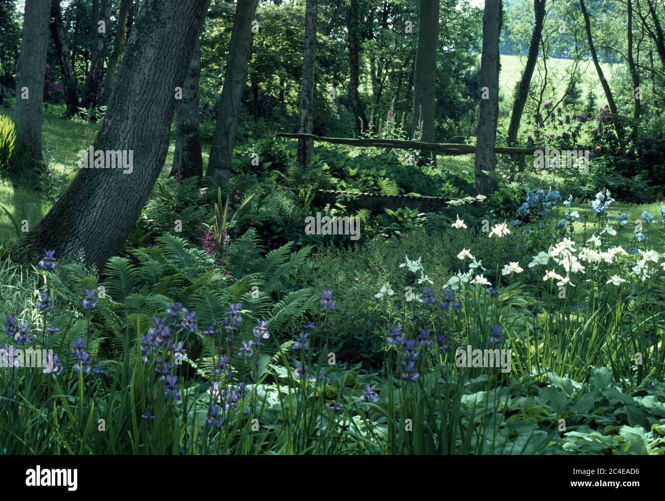 Stream running through gardens hi-res stock photography and images - Alamy