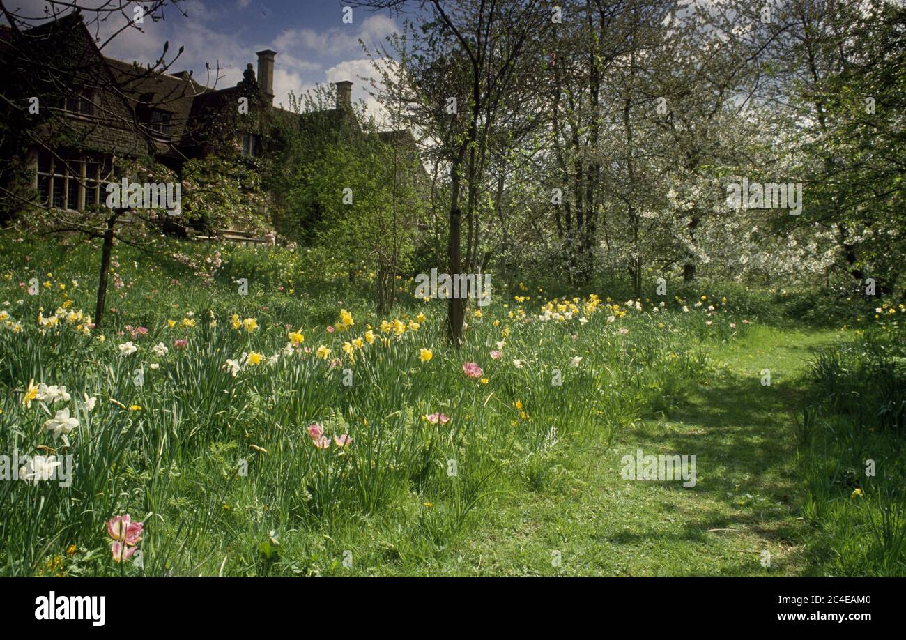 Unmown lawn hi-res stock photography and images - Alamy