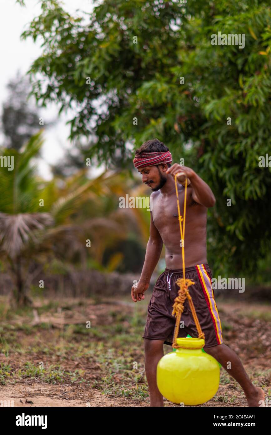 GOA, INDIA - May 14, 2020: Local Indian native/farmer watering a ...