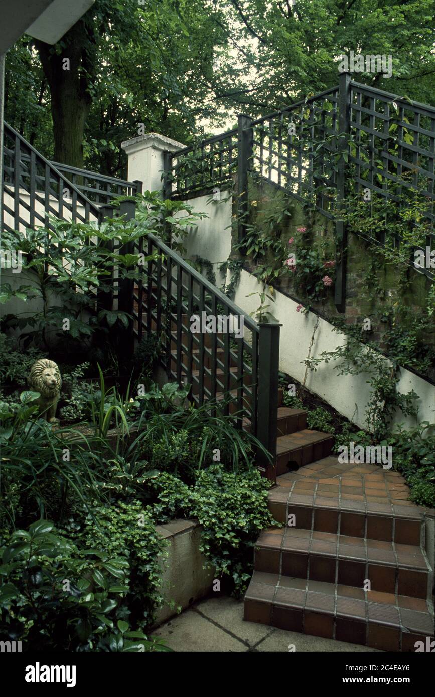 Tiled steps in basement garden with wooden trellis fence and trailing ...