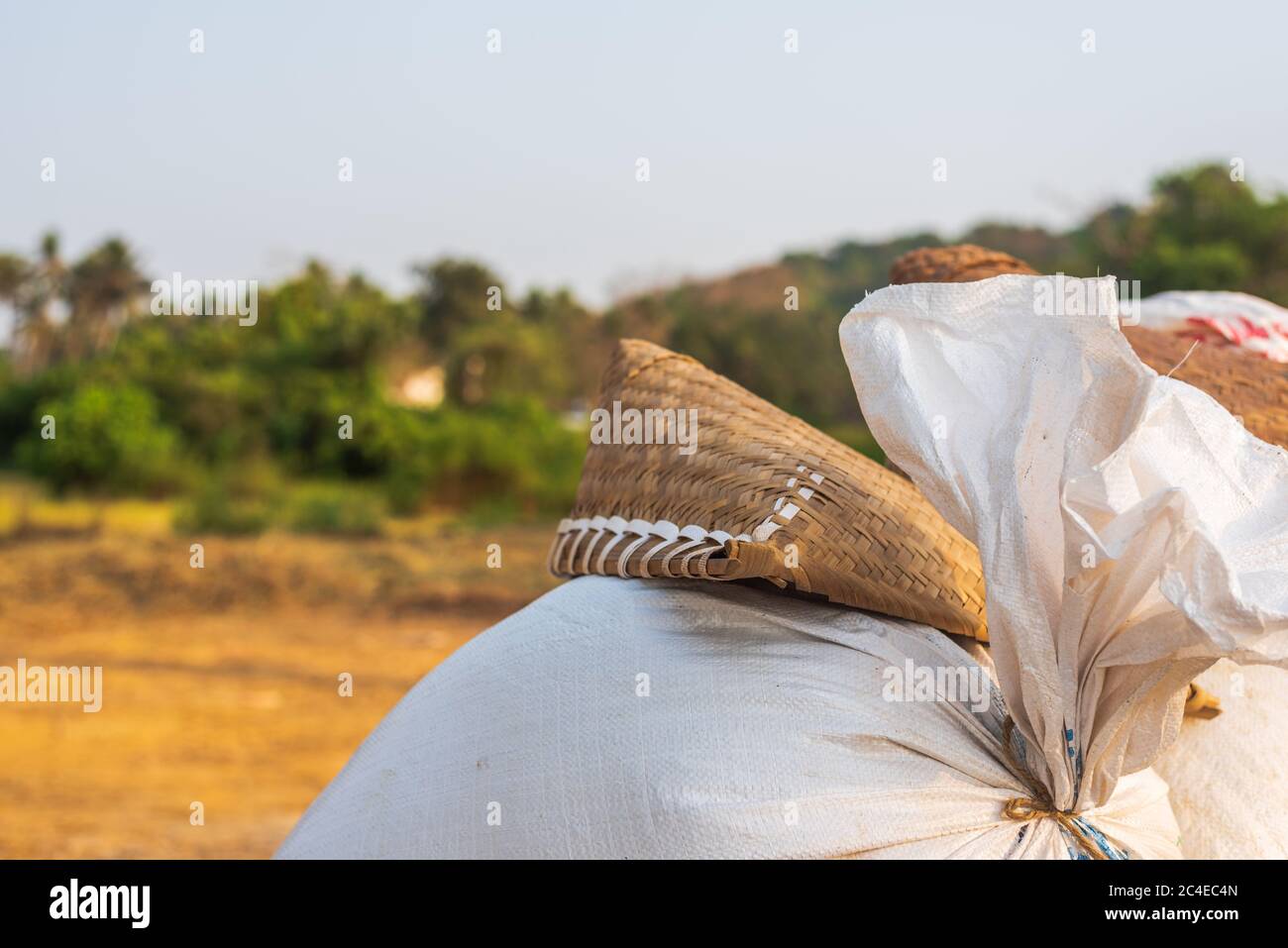 Traditional winnowing fan hi-res stock photography and images - Alamy