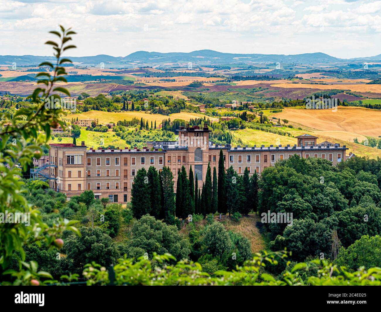 Il pavone hi-res stock photography and images - Alamy