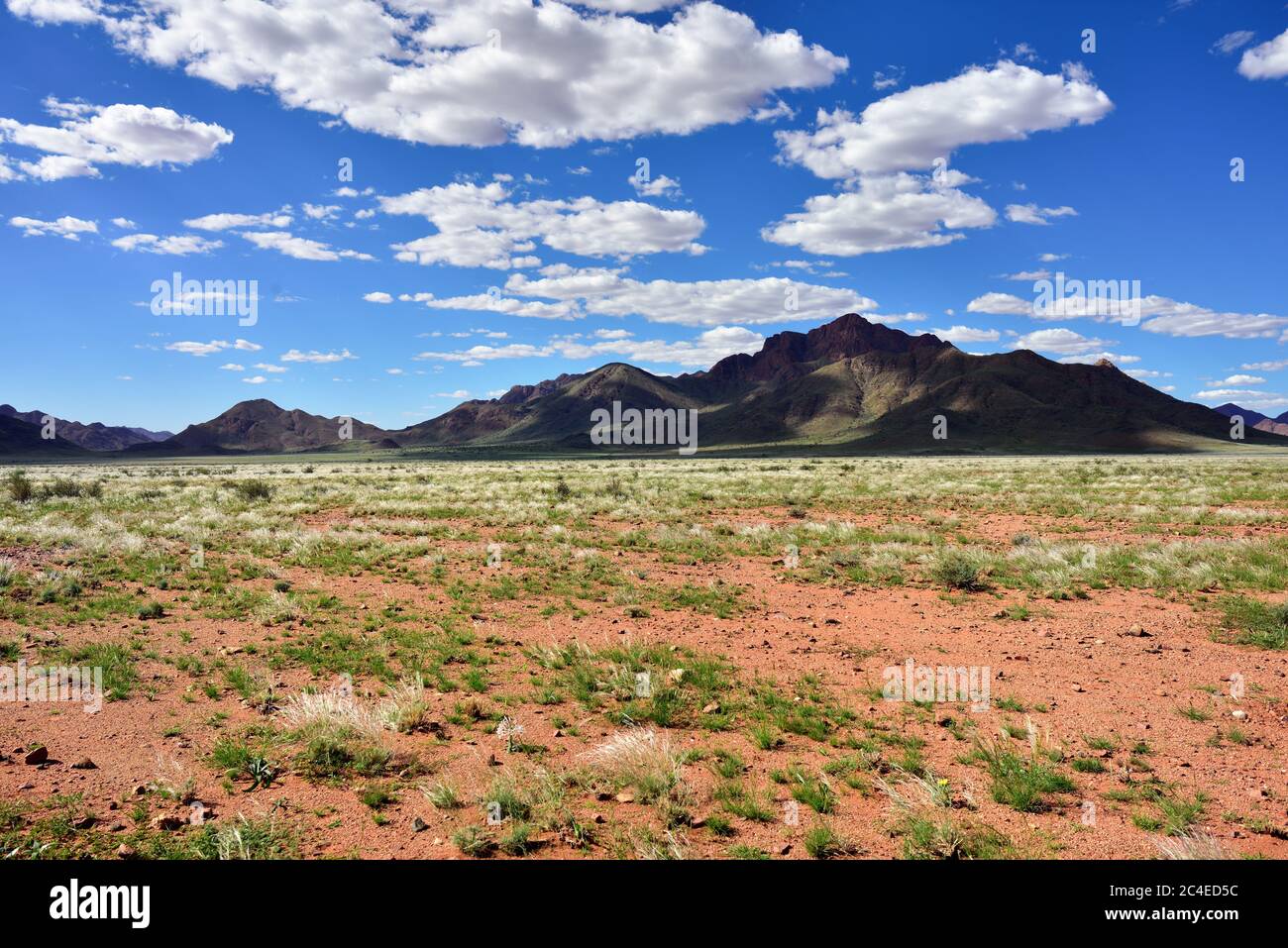 Beautiful landscape of the Namib desert during rainy season, Namibia, Africa Stock Photo - Alamy