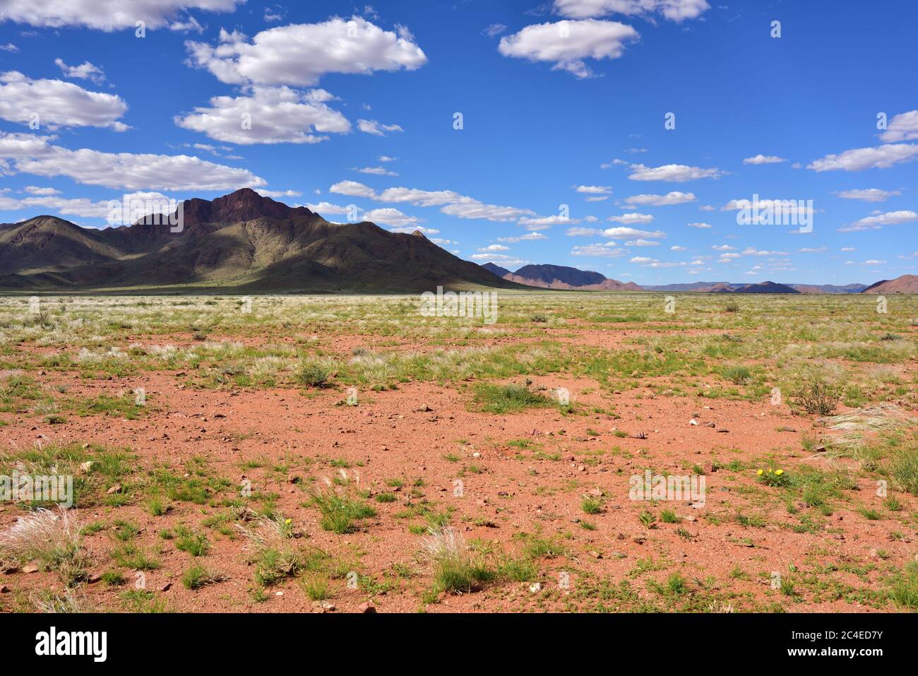 Beautiful landscape of the Namib desert during rainy season, Namibia, Africa Stock Photo - Alamy