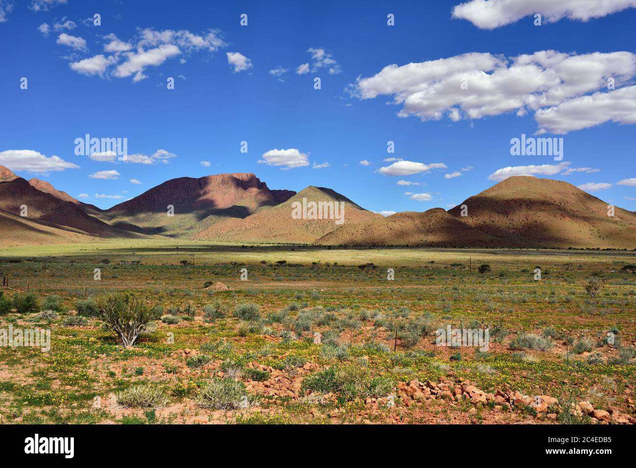 Beautiful landscape of the Namib desert during rainy season, Namibia ...