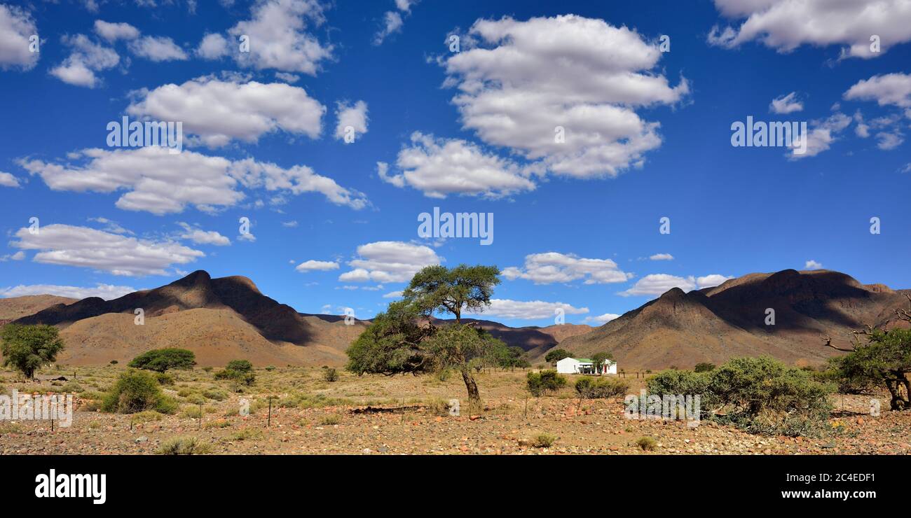 Beautiful landscape of the Namib desert with acacia trees and farmhouse ...