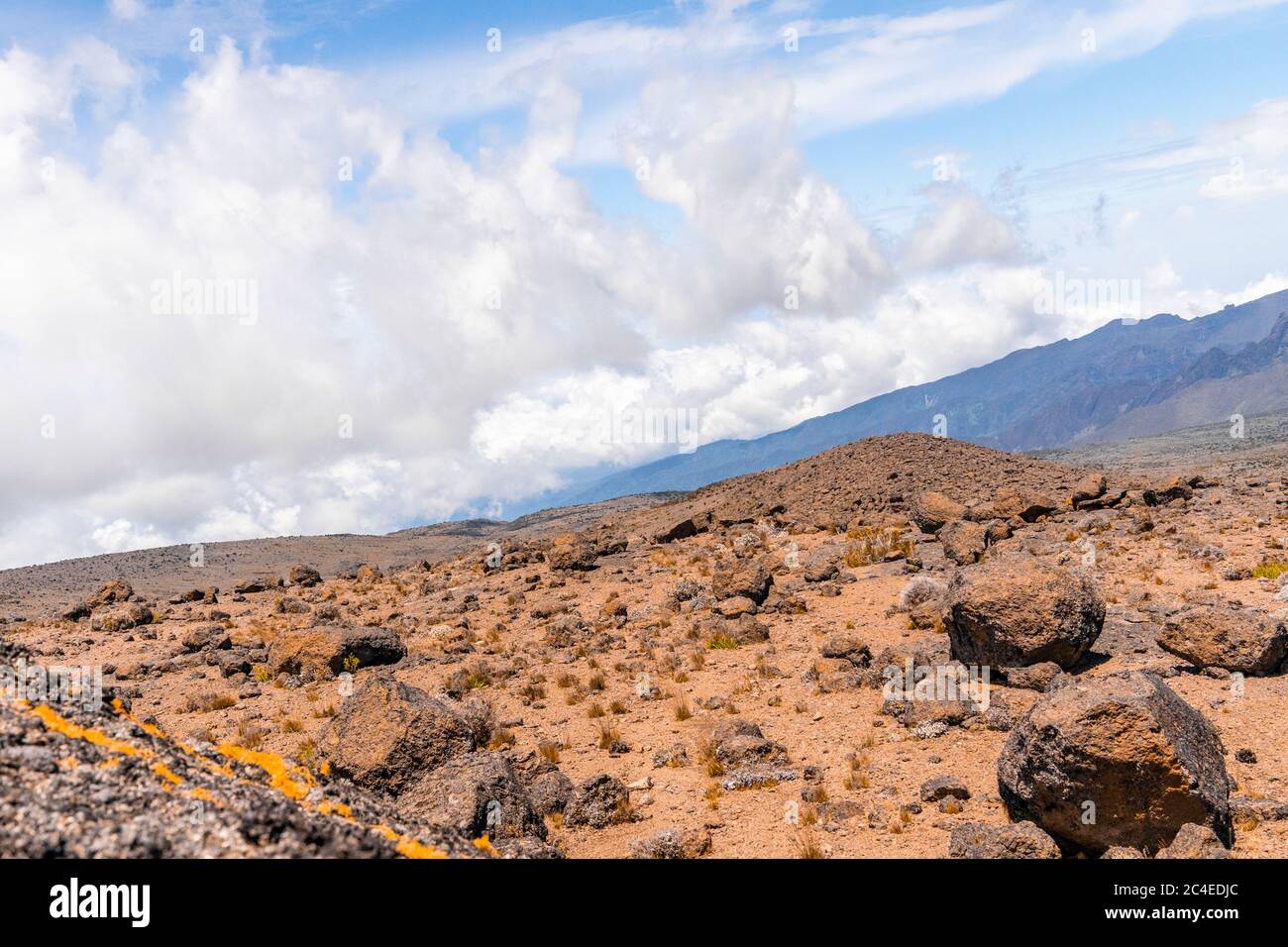 Landscape view of the volcanic terrain near Kilimanjaro mountain in ...
