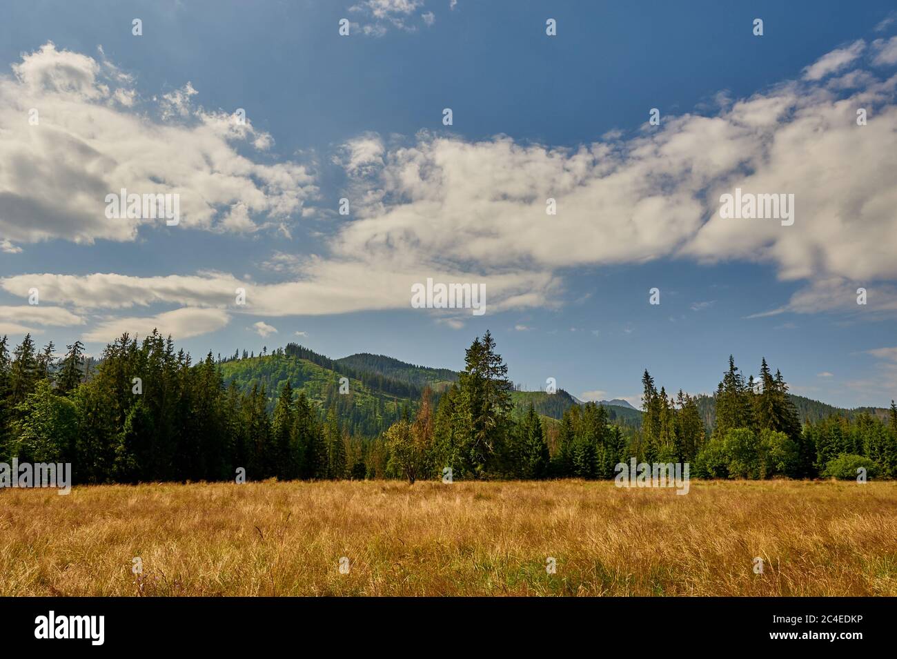 plain with mountains in the background. sunny day in the middle of ...
