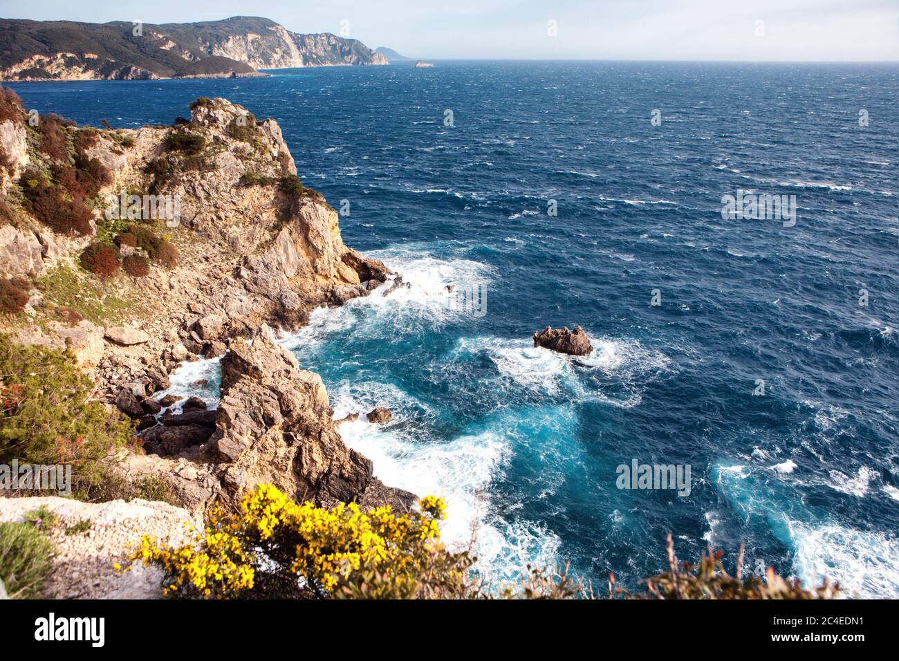 View of surging sea among cliffs with flowers in the front at ...