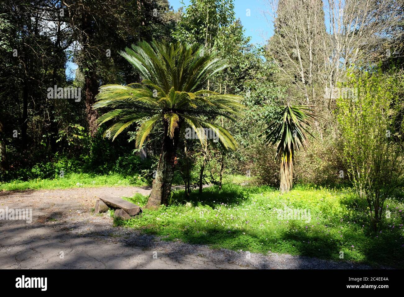 Mon repos corfu hi-res stock photography and images - Alamy