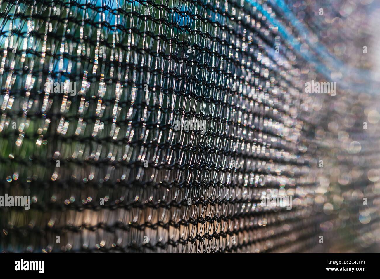 Close-up detail of the knots of a fine-mesh nylon mesh Stock Photo - Alamy