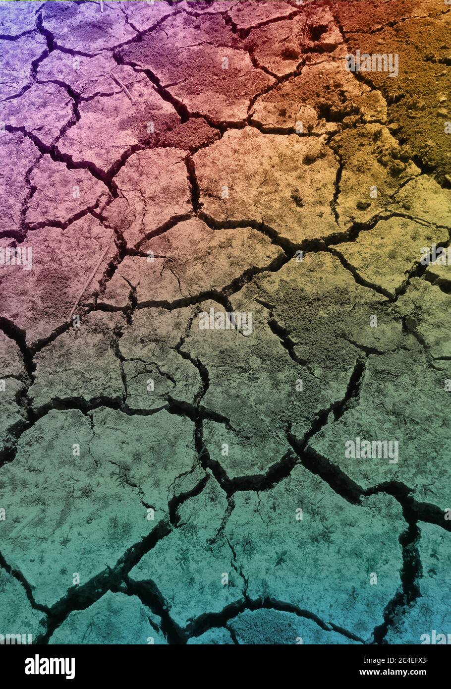 Seed growing dry soil hi-res stock photography and images - Alamy