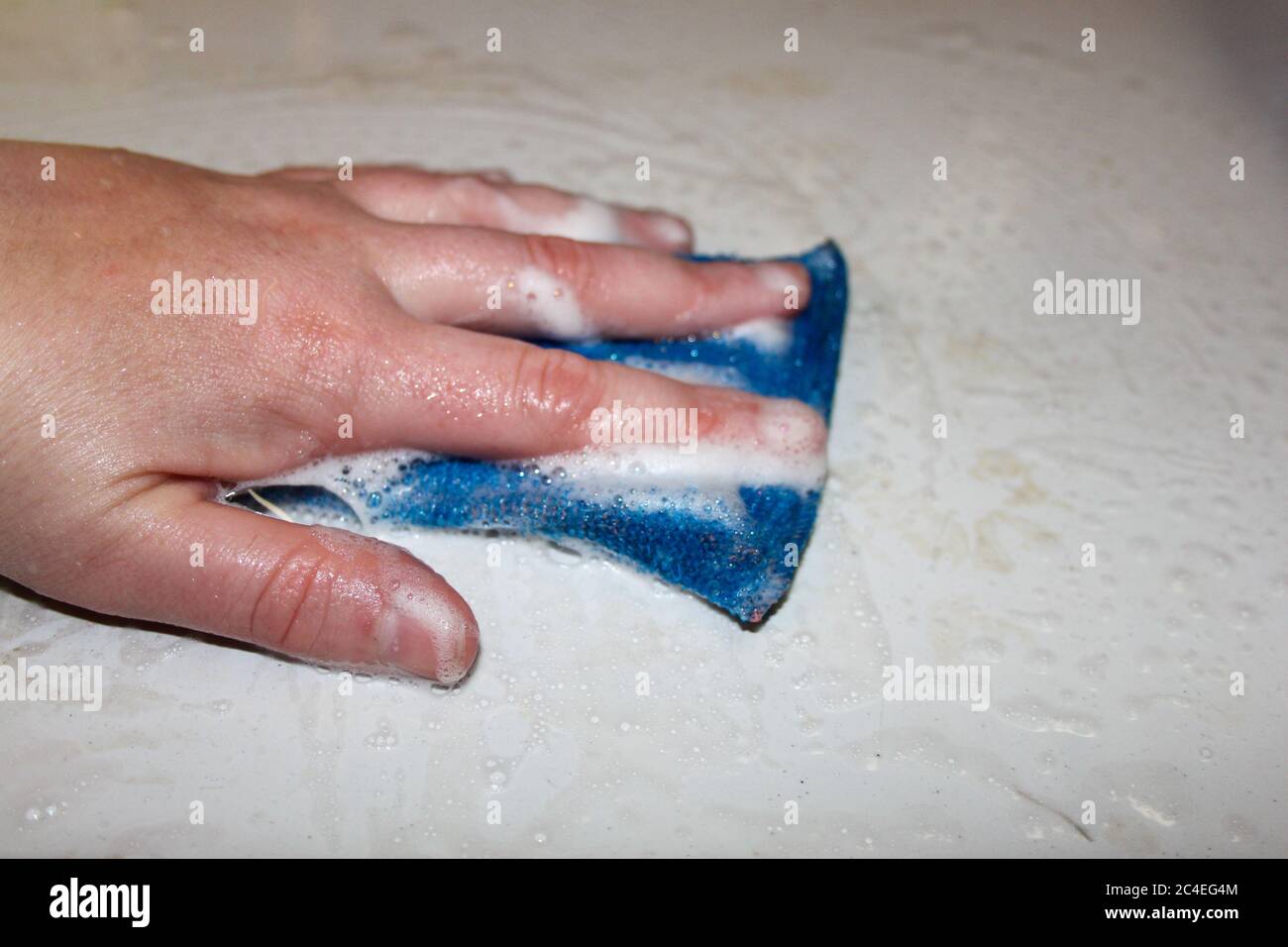 Person cleaning a plate with a dish cleaner blue wet sponge Stock Photo ...