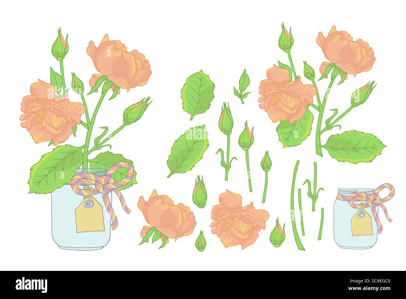 Hand drawn rose flowers in mason jar clipart set. Floral design element ...