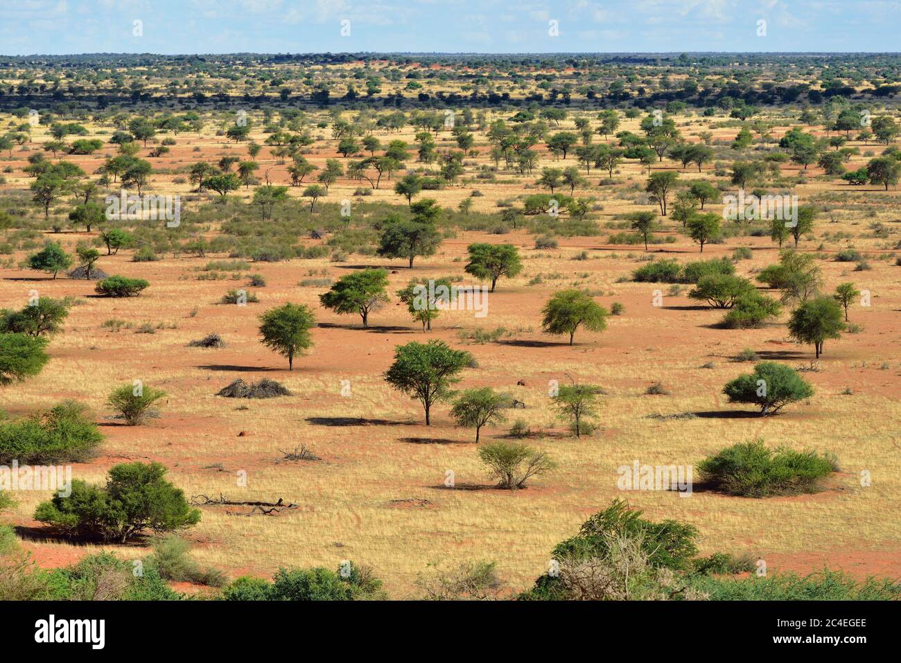 Kalahari colours hi-res stock photography and images - Alamy