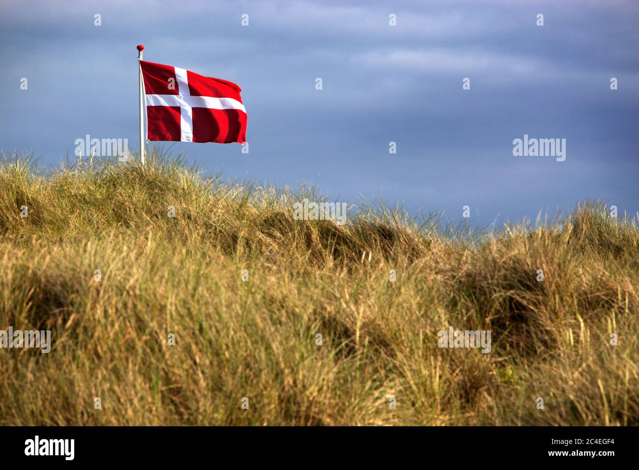 The Danish flag (the Dannebrog) flying over sand dunes, Skagen, Jutland ...