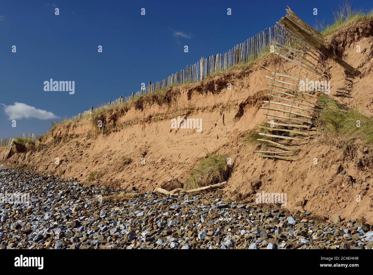 Storm damaged sand dunes and fencing on Dawlish Warren beach Stock ...