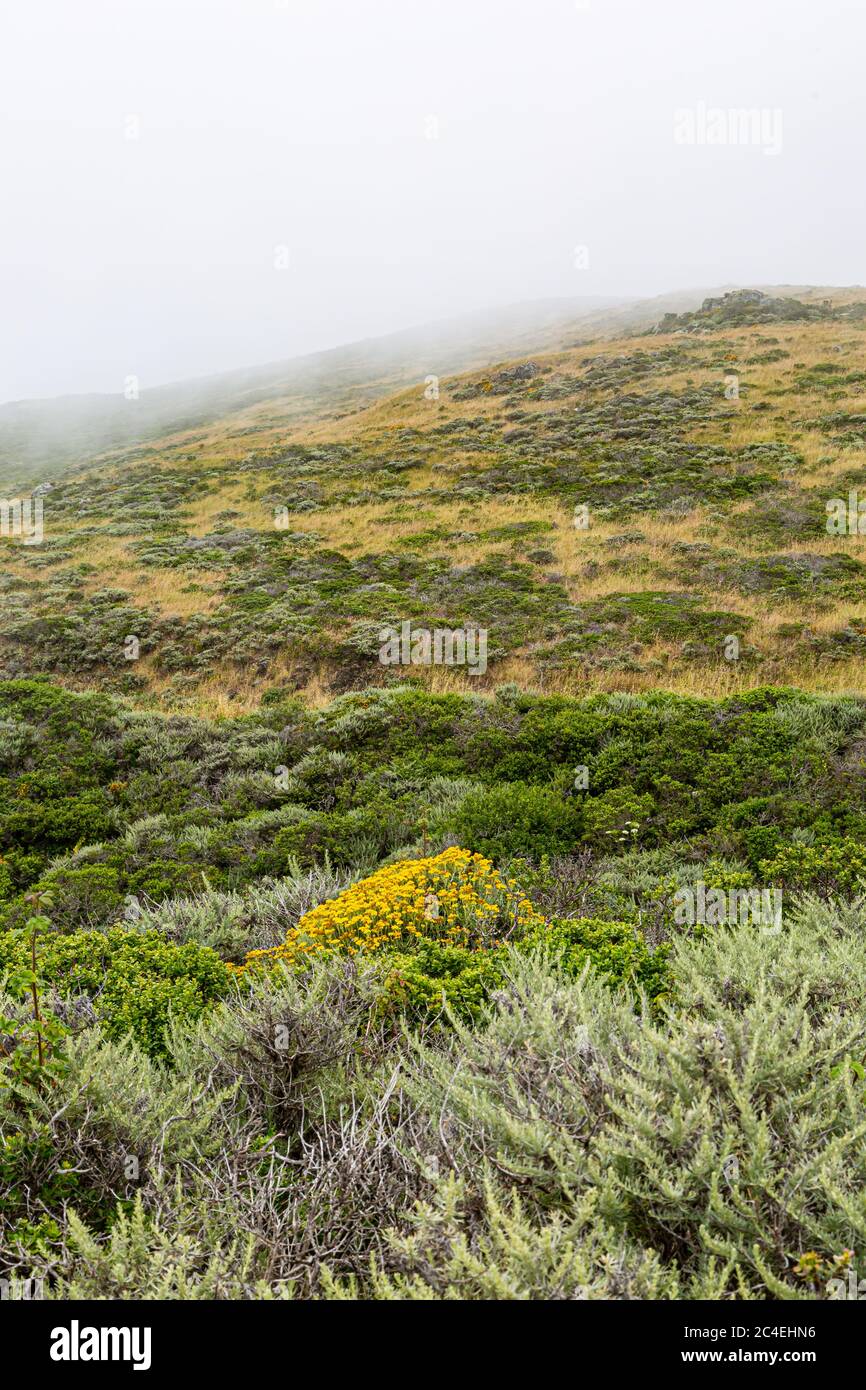 Sea mist rolling in hi-res stock photography and images - Alamy