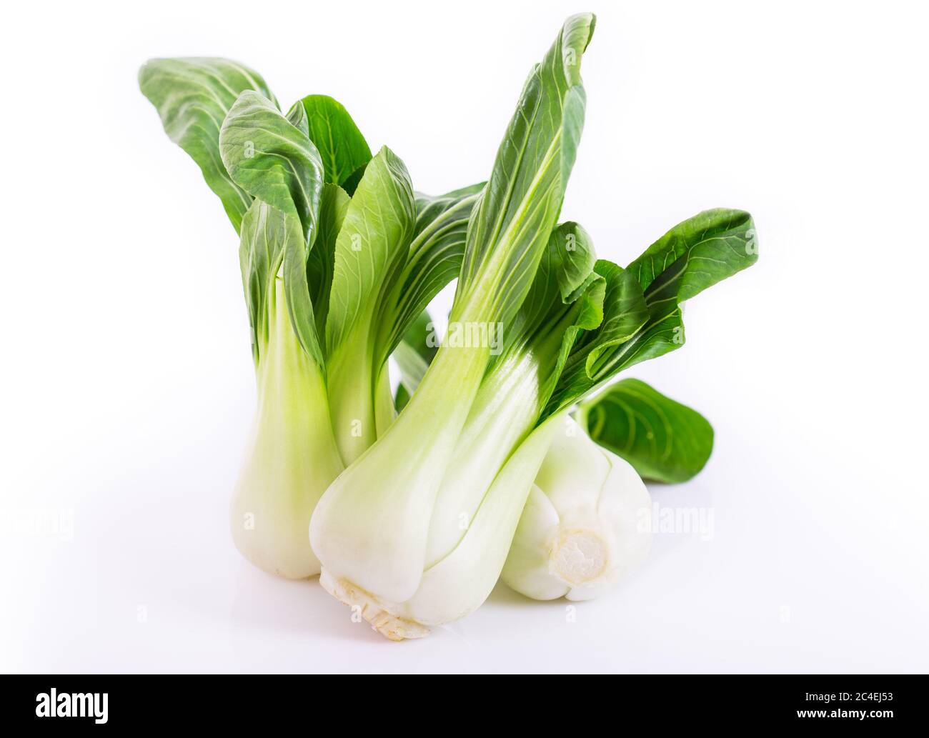 Baby leaf pak choi hi-res stock photography and images - Alamy