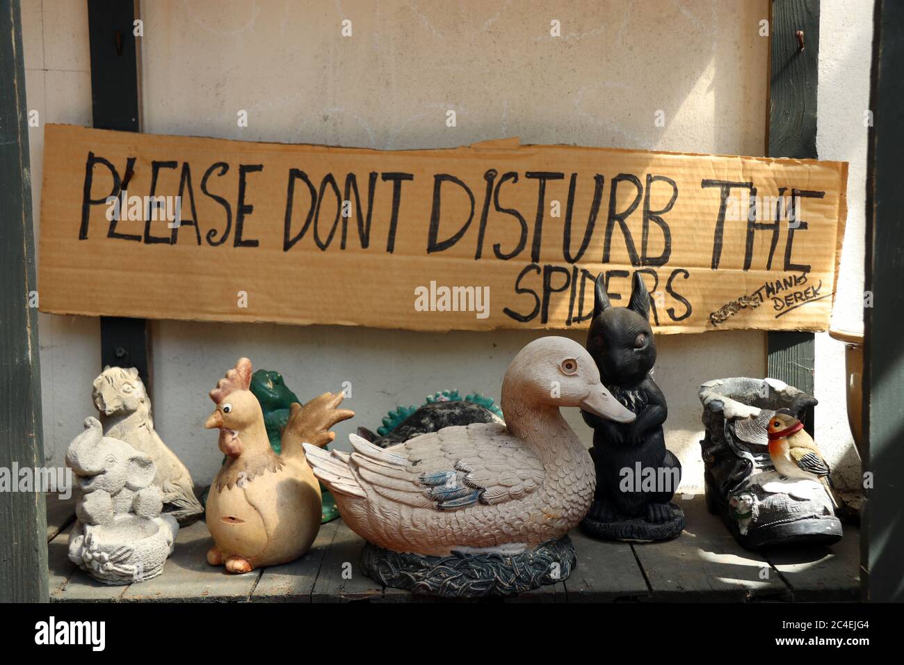 do not disturb the spiders sign Stock Photo - Alamy