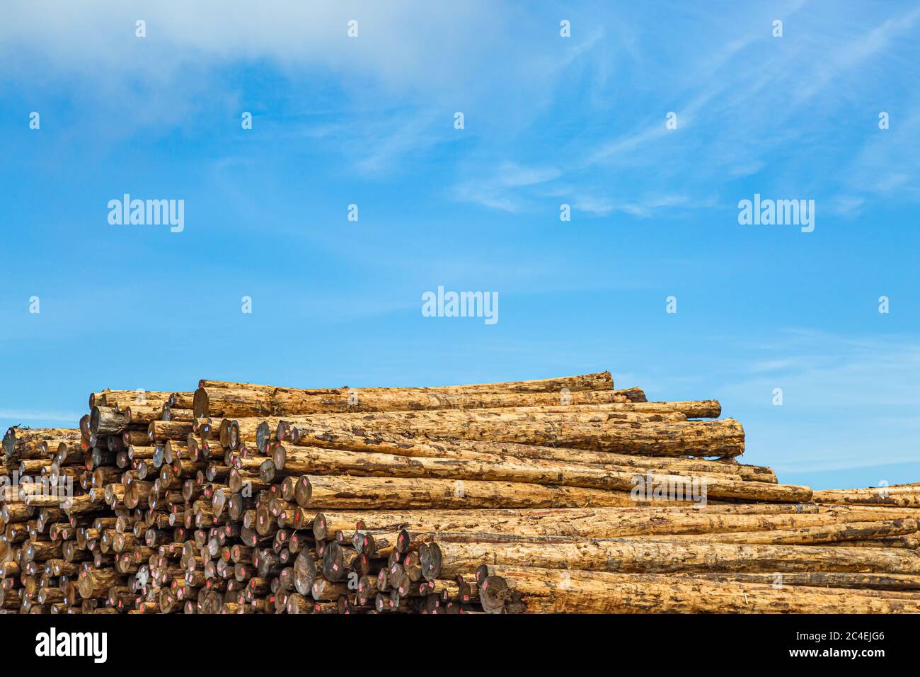 Logpile hi-res stock photography and images - Alamy